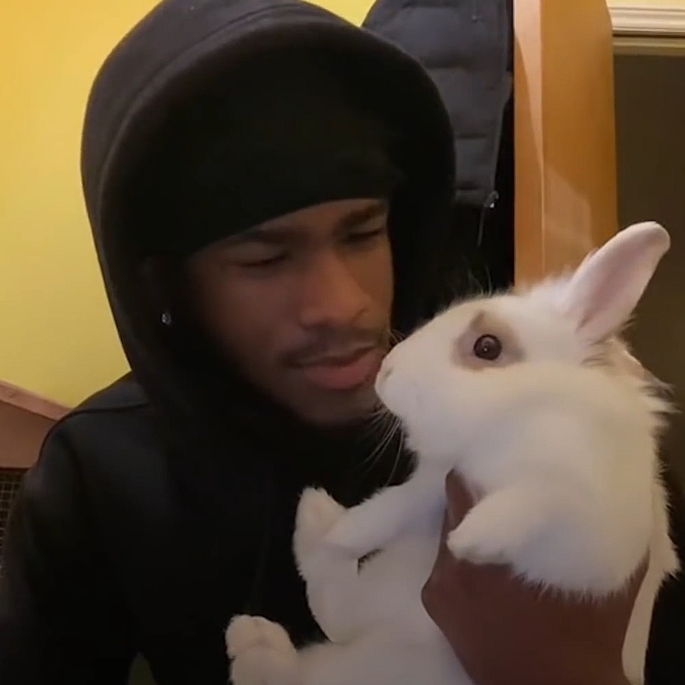 Man finds abandoned bunny at the park and becomes his instant dad