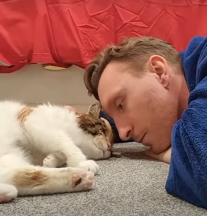 Man has raised 23-year-old cat since he was 11 years old