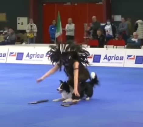Border Collie steals hearts and wins World Champtionship with dance