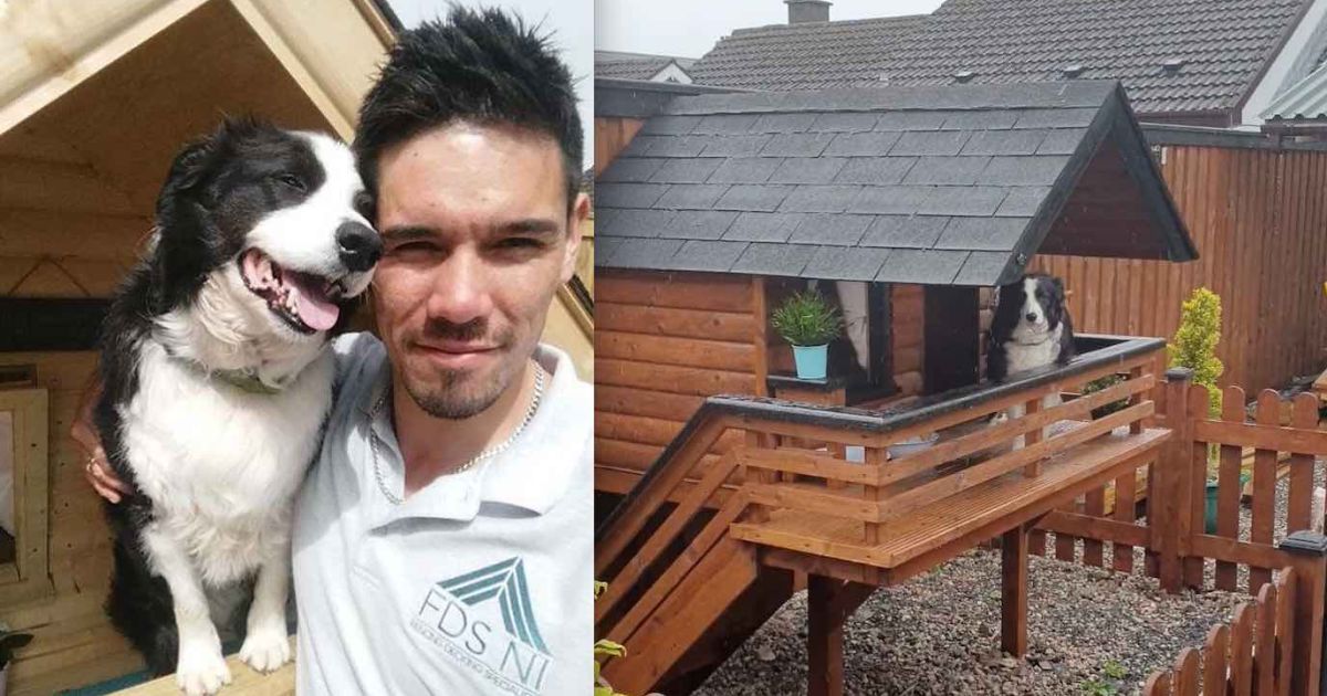 Man build his dog her own giant cabin in the backyard to show her how ...