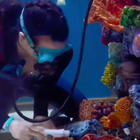 Tiny, sweet octopus adorably demands attention from aquarium worker who ...