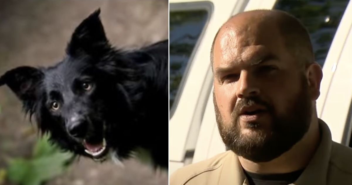 Man waits for help after 70-foot fall in secluded forest then real-life ...