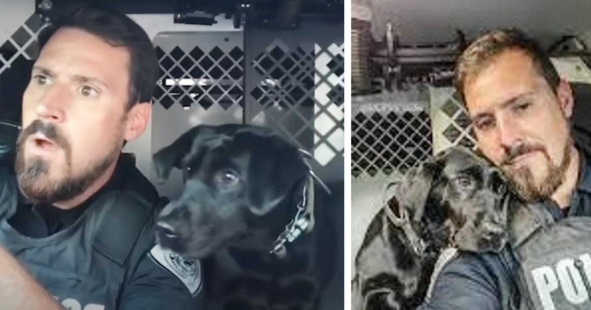 K9 dog makes sure to ‘cheer up’ her dad at work every single day