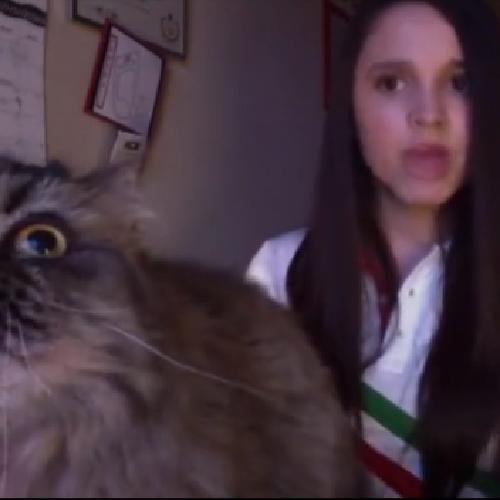 Opera singer records herself not knowing her cat would hilariously ...