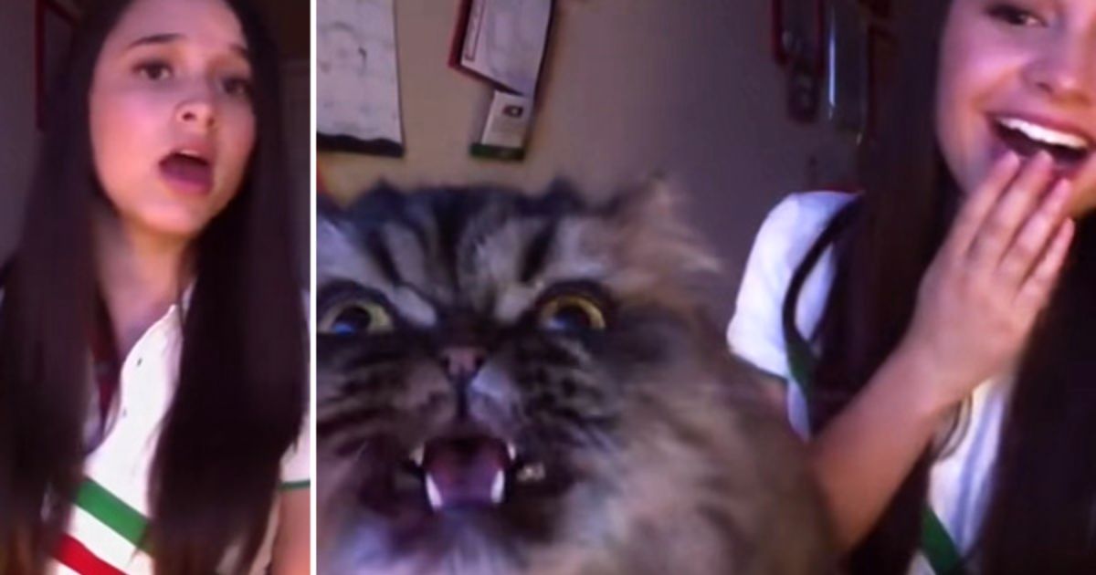 Opera singer records herself not knowing her cat would hilariously ...