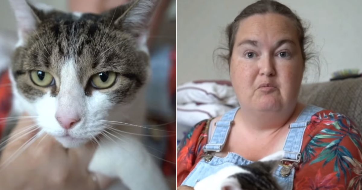 Cat senses something wrong with owner and ends up saving her life