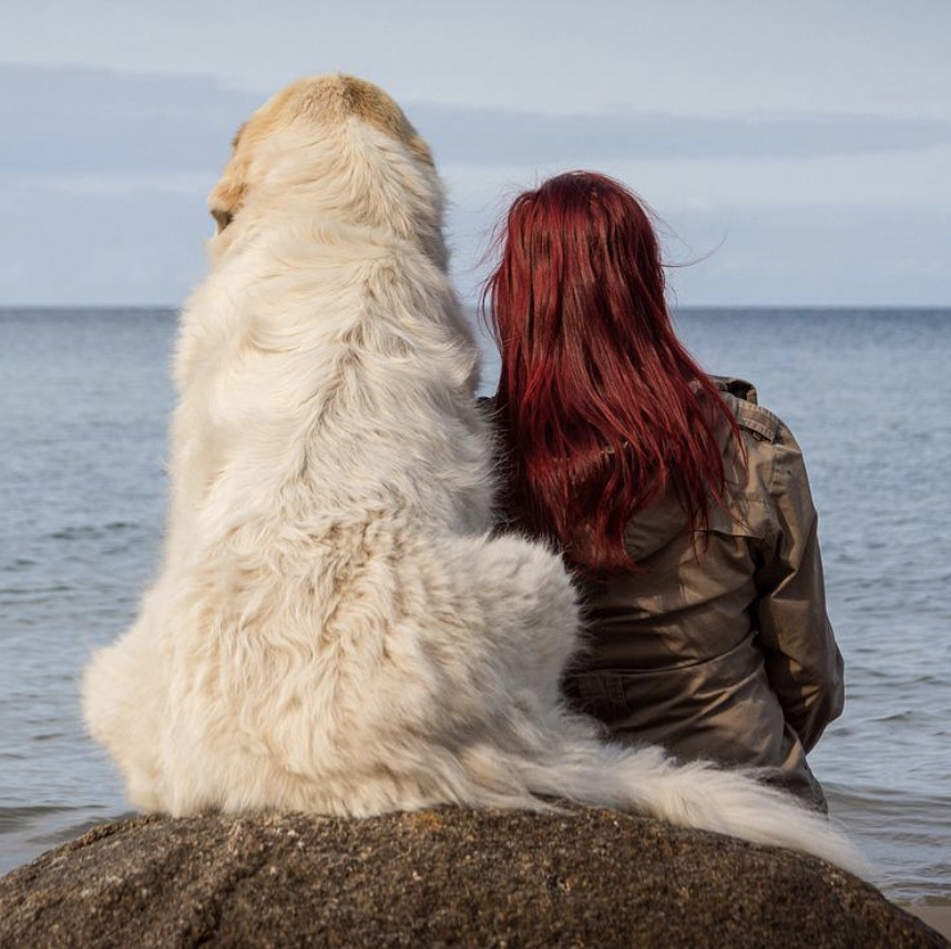 Study says dogs love their humans so much they ‘cry happy tears’ when ...