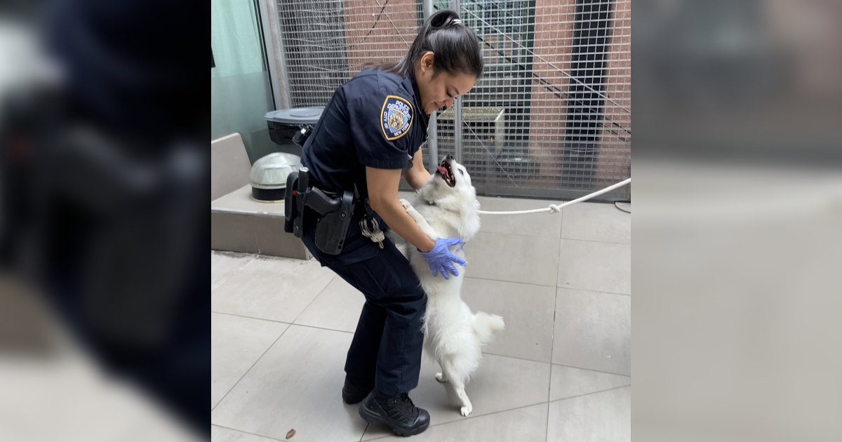 Police officer adopts same dog she rescues from locked hot car