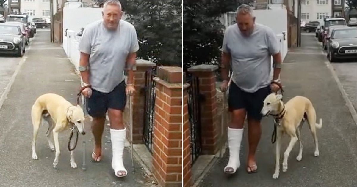 Man pays $400 for vet to check out limping dog only to find out the dog ...