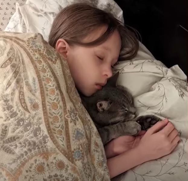 Girl is reunited with beloved cat thanks to strangers in 5 countries ...