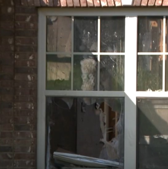 Young men hear dogs barking inside neighbors’ burning home and rush to ...