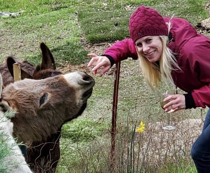 Donkey runs to his owner after they survived a wildfire