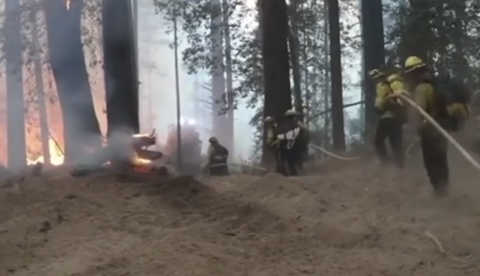 Donkey runs to his owner after they survived a wildfire
