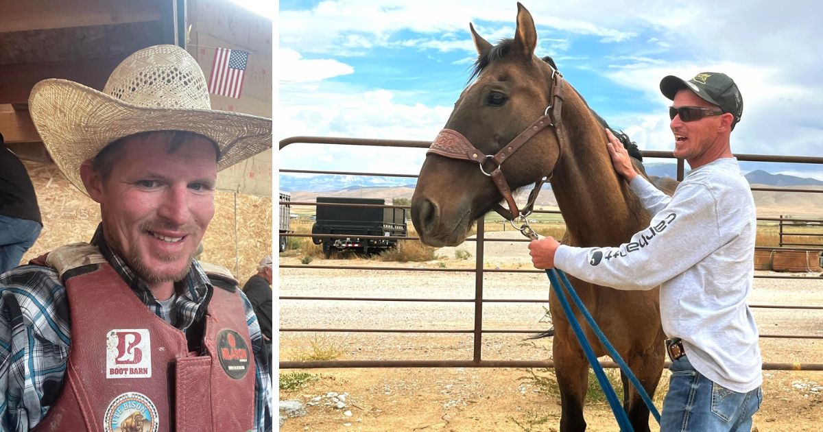 Horse returns to owner 8 years after joining herd of wild mustangs on a ...