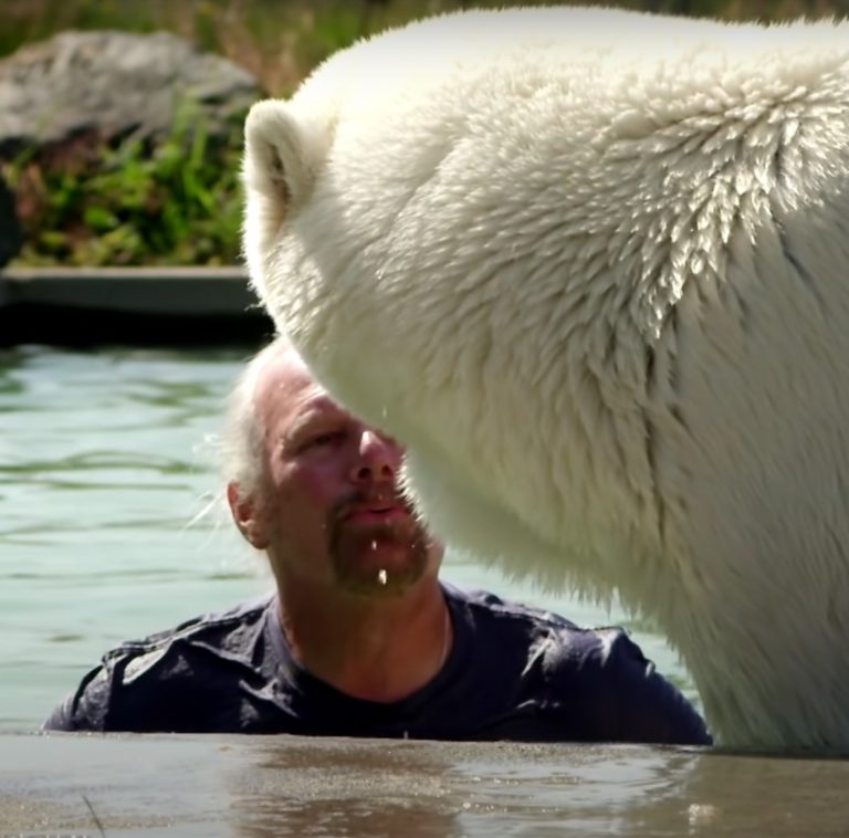 Polar bear is so attached to her human dad she purrs when he’s near