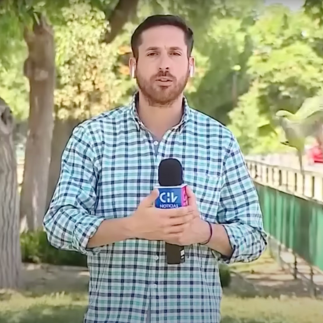 Parrot robs reporter while live on-air and takes off like a bandit