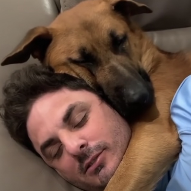 Woman brings home sweet dog and instantly becomes ‘third wheel’