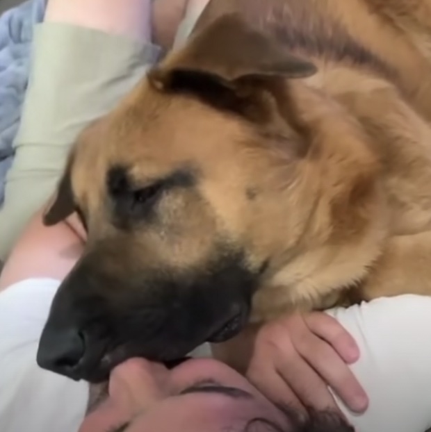 Woman brings home sweet dog and instantly becomes ‘third wheel’