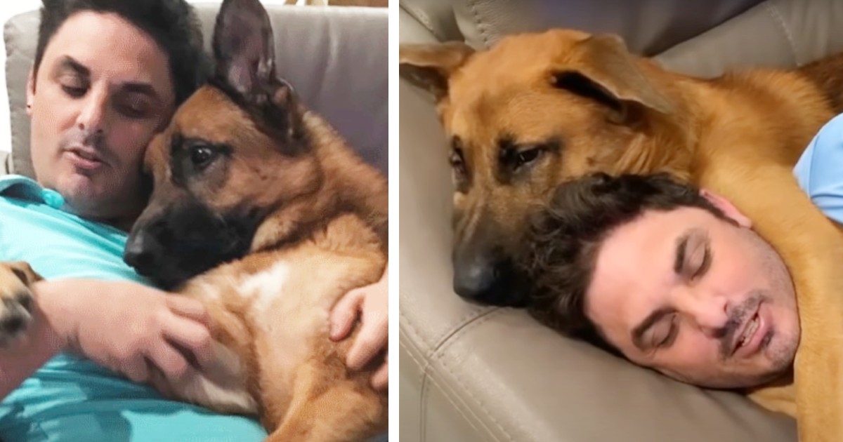 Woman brings home sweet dog and instantly becomes ‘third wheel’