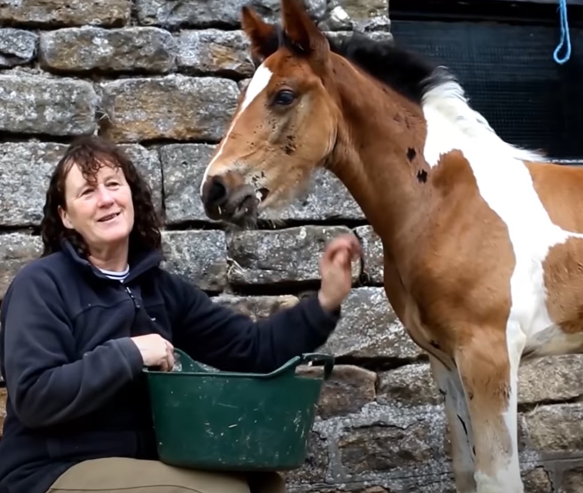 This chestnut foal’s unique marking is turning a lot of heads