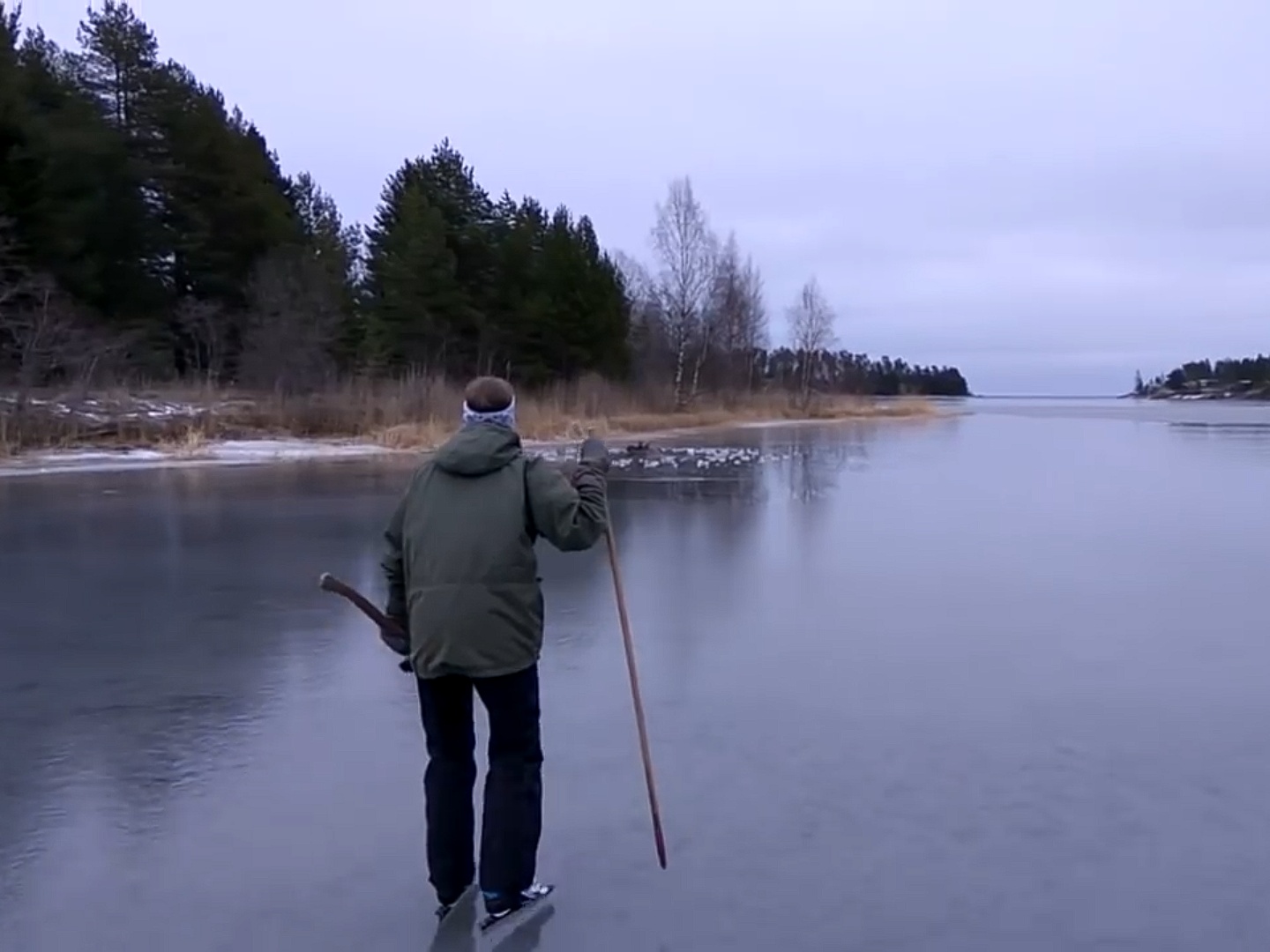 Couple come to the rescue of a desperate moose that fell through a ...