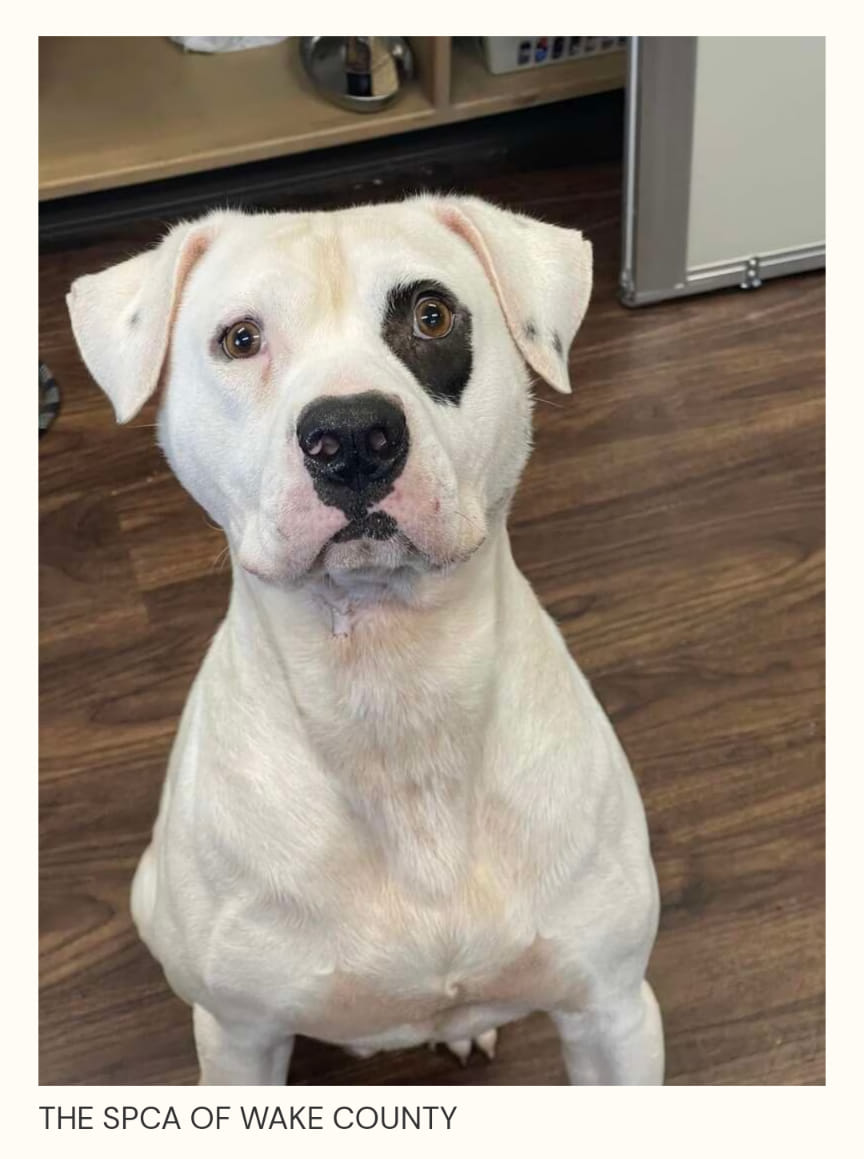 Longest shelter resident falls asleep smiling when he finally finds a ...