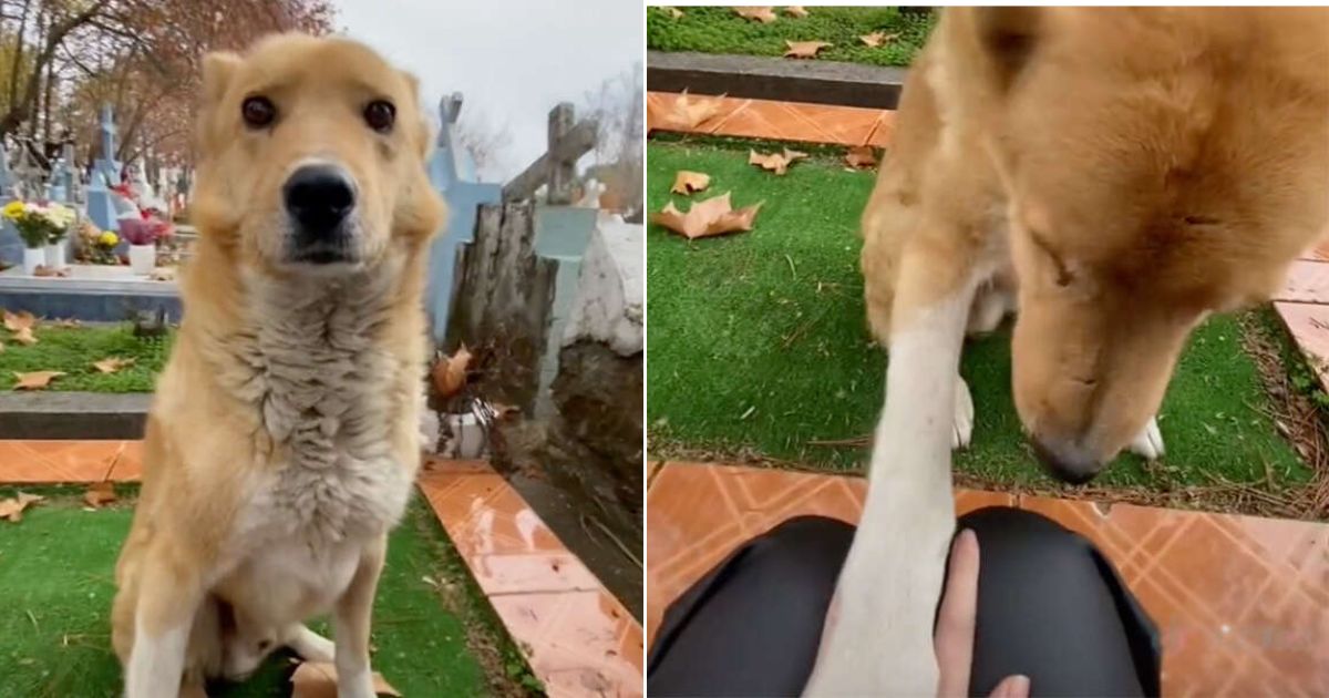 Grieving woman weeping at gravesite looks up and sees an “angel”