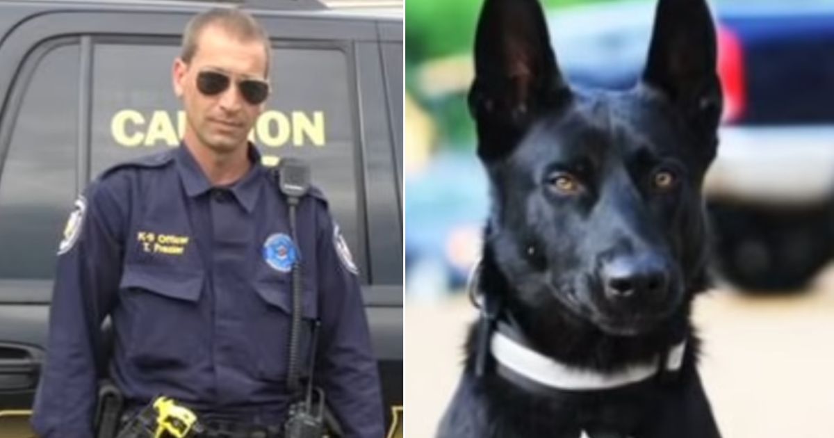 Men ambush lone cop in the woods only to get surprise of their lives ...