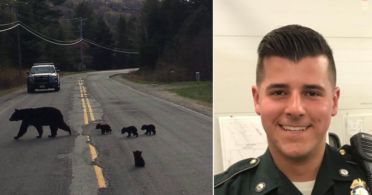 Cop quickly realizes the sad reason why baby bear won’t cross the road