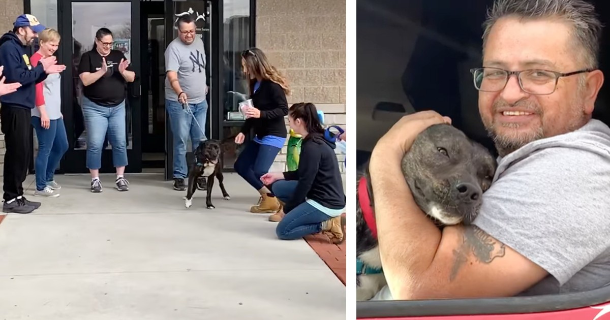 Dog who spent 372 days in shelter gets biggest applause as he finally ...