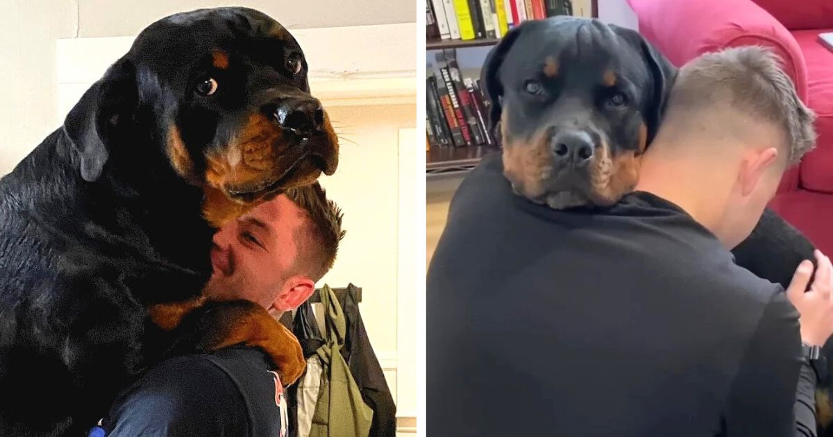 ‘Tough guy’ melts hearts cuddling with his gigantic soul-dog