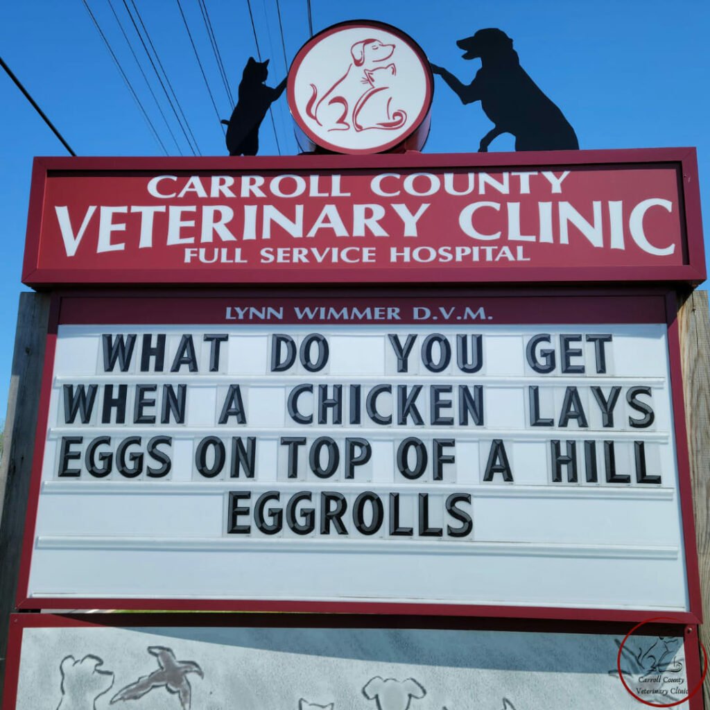 12 Vet Signs Making People Do A Double Take In Laughter