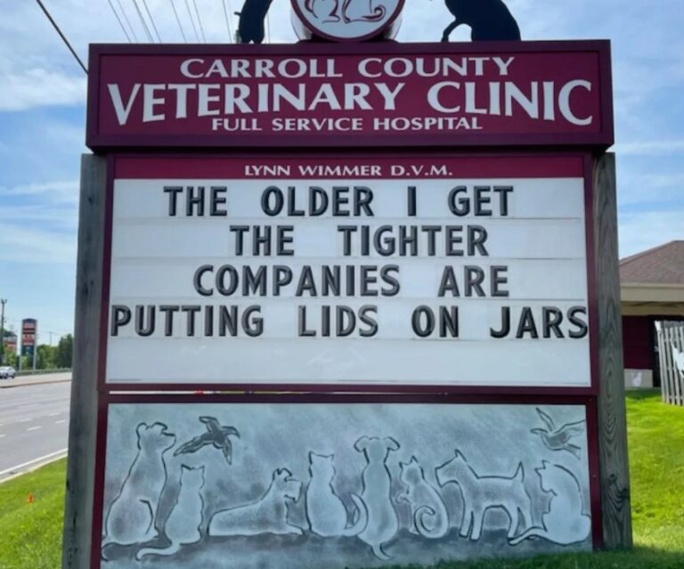 12 Vet Signs Making People Do A Double Take In Laughter
