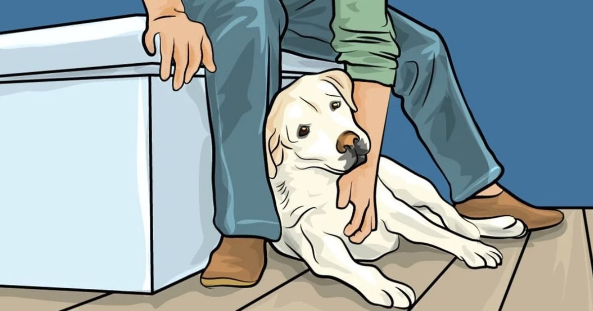 Never ignore a dog leaning on you, plus 50 other explanations for ...