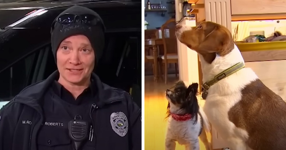 Cops get 16 calls from same house not expecting to find hilarious duo ...