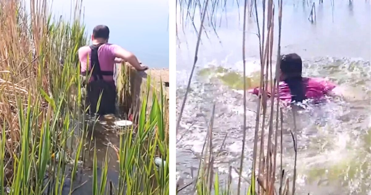 Man hears call for help from the reeds and jumps into action