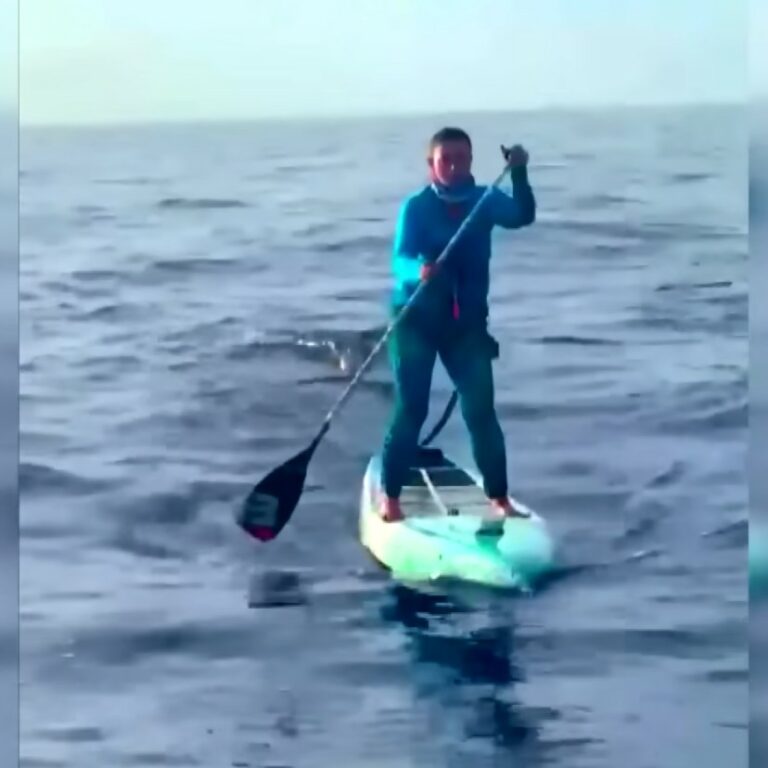 Woman has no idea a shark is tailing her until husband urges her to ...