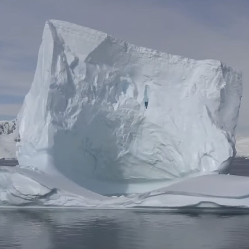 3 fisherman out at sea spot a wary creature stranded on a wobbling iceberg