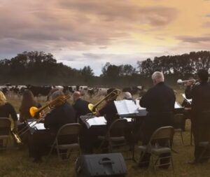 Dairy farmer holds incredible ‘jazz’ concert for their cows