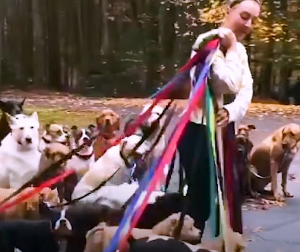 Man ready for a career change shows he’s “leader of the pack” walking ...