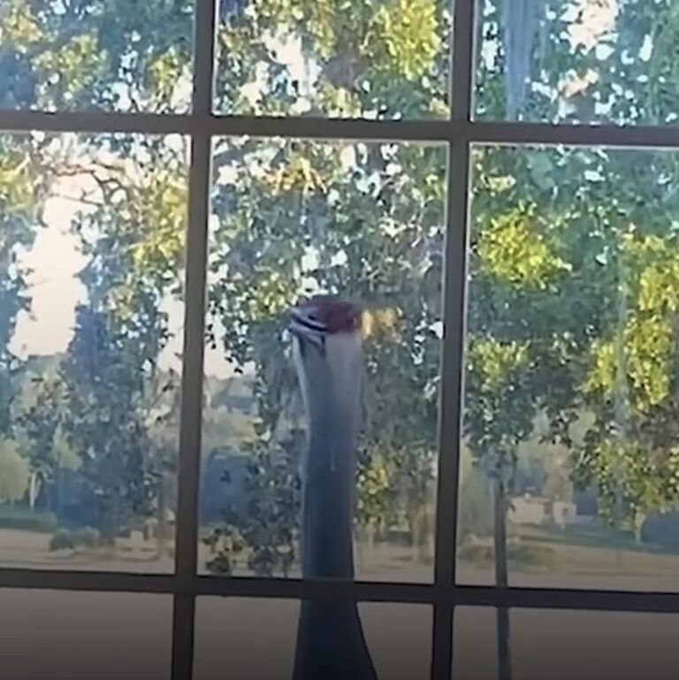 Crane knocks on human best friend’s door to introduce her to his family