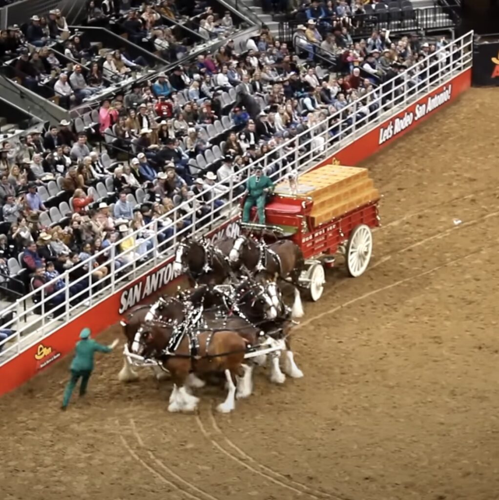 Handlers jump into action when unpredictable “tangle up” occurs among ...