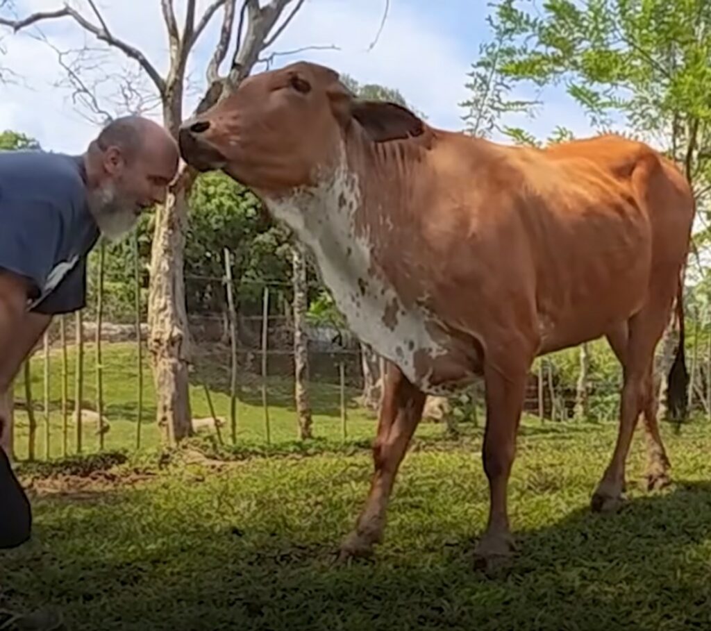 Needy cow goes out of her way to show her “disapproval” for mom’s new boyfriend