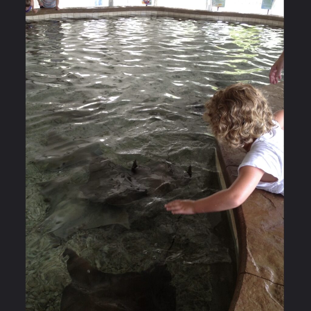 Stingray photobombs baby’s photo and the outcome is hilarious because ...