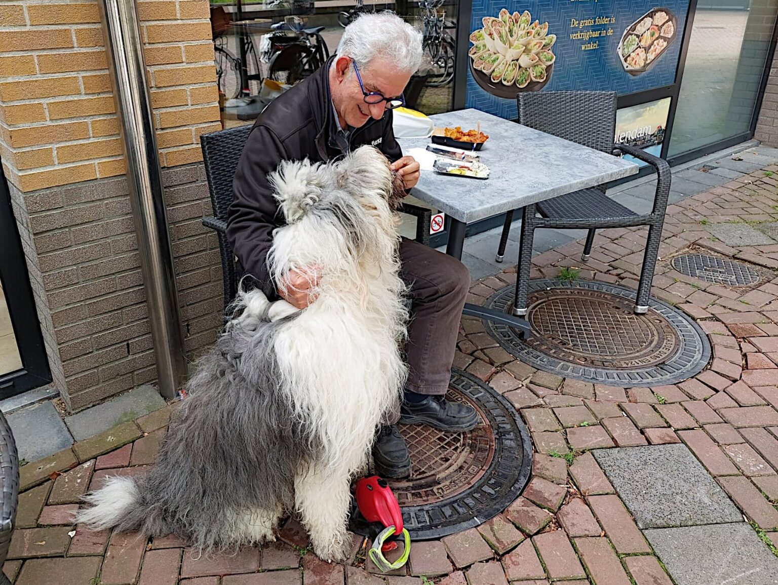 30 Calm Dog Breeds with the Most Easygoing Personalities