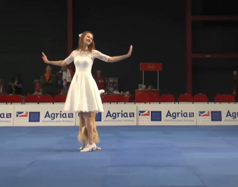 Border collie and girl blow the roof off of Dog Dancing World Championship