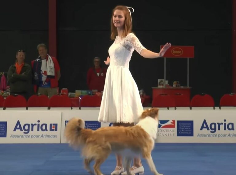 Border collie and girl blow the roof off of Dog Dancing World Championship