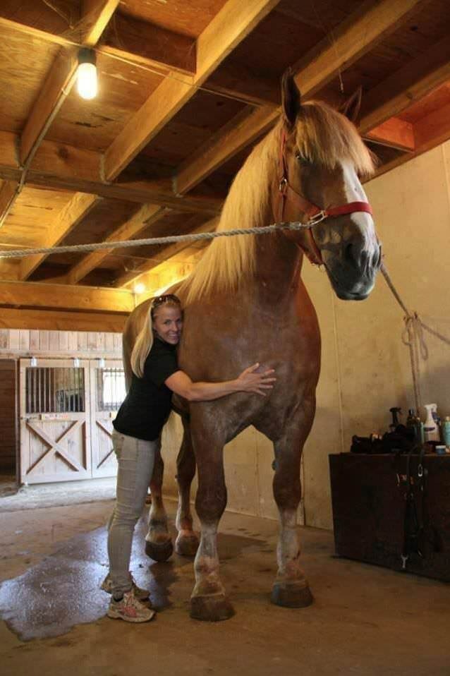 20+ Photos That Show How Big (or Small) Things Really Are