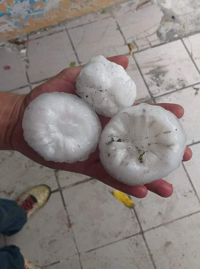 20+ Photos That Show How Big (or Small) Things Really Are