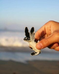 20+ Photos That Show How Big (or Small) Things Really Are